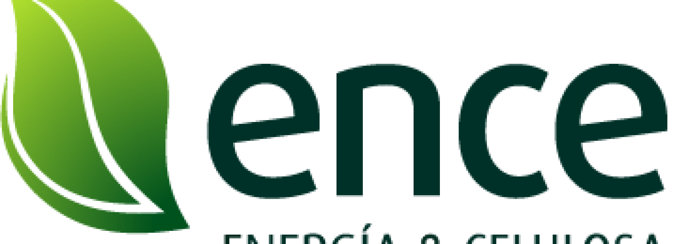 ENCE ENERGIA Y CELULOSA – Steps Relocation